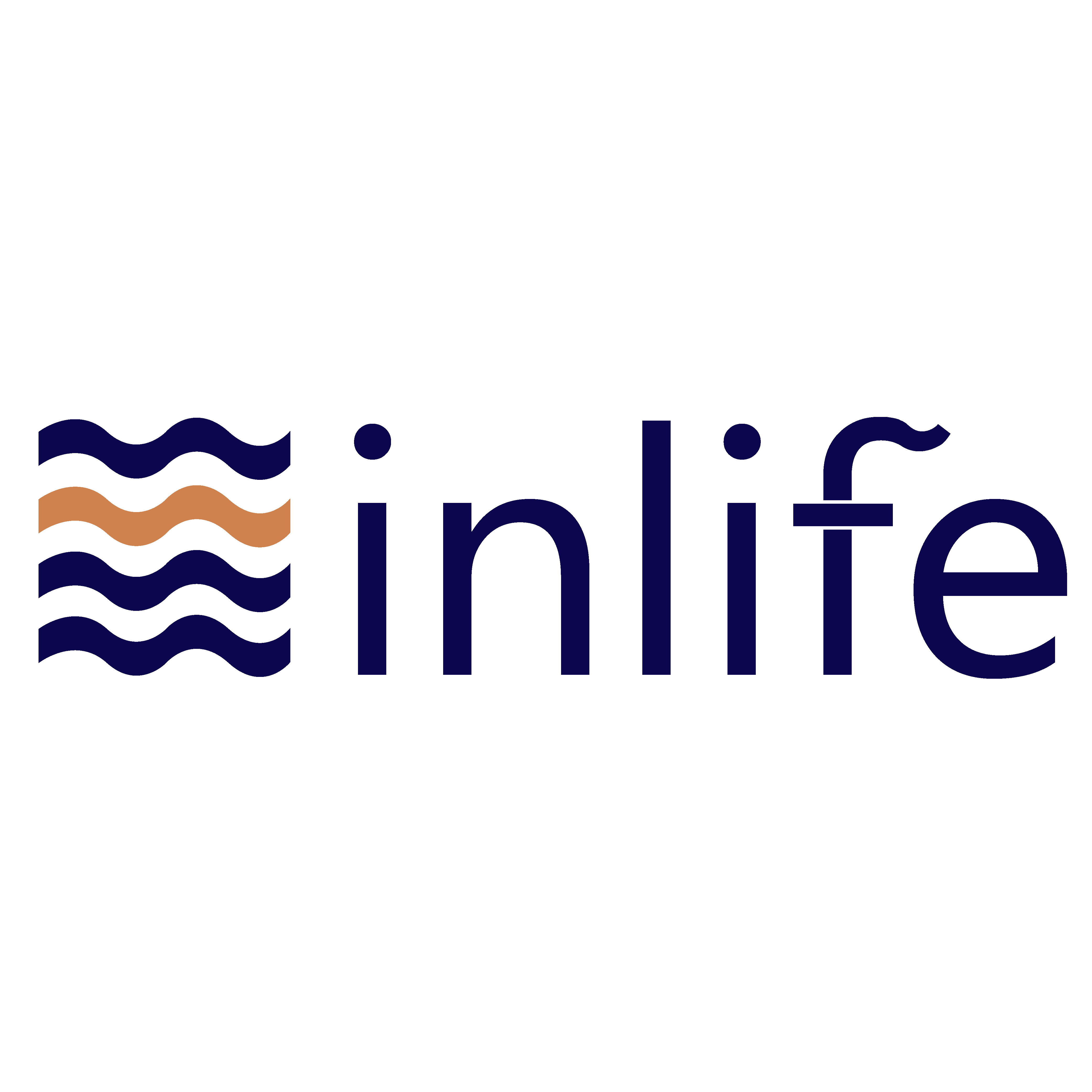 PT. INLIFE JAYA ABADI | Indonesia Companies Registry Search